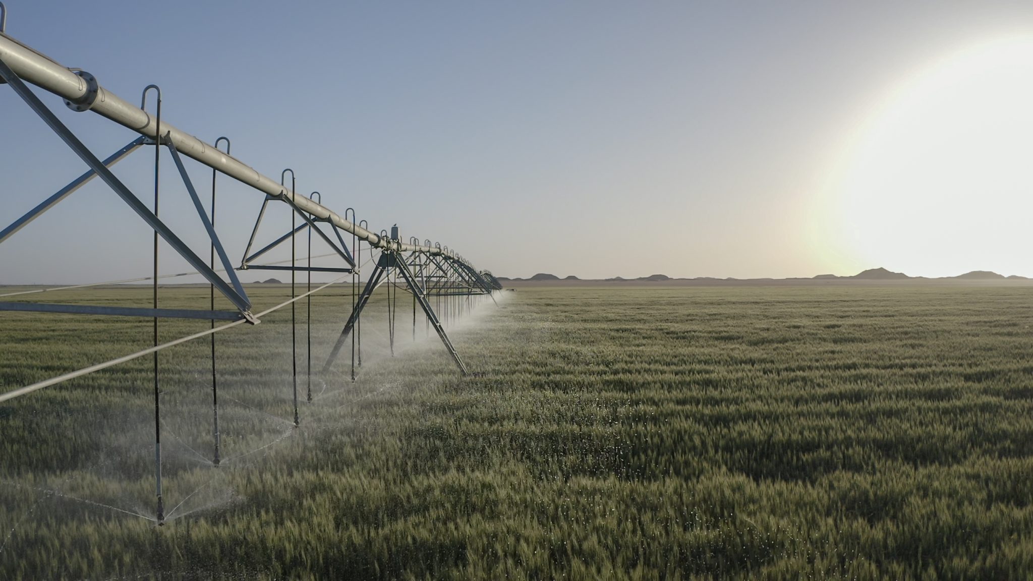 DELTA Pivot – Elsewedy wataneya